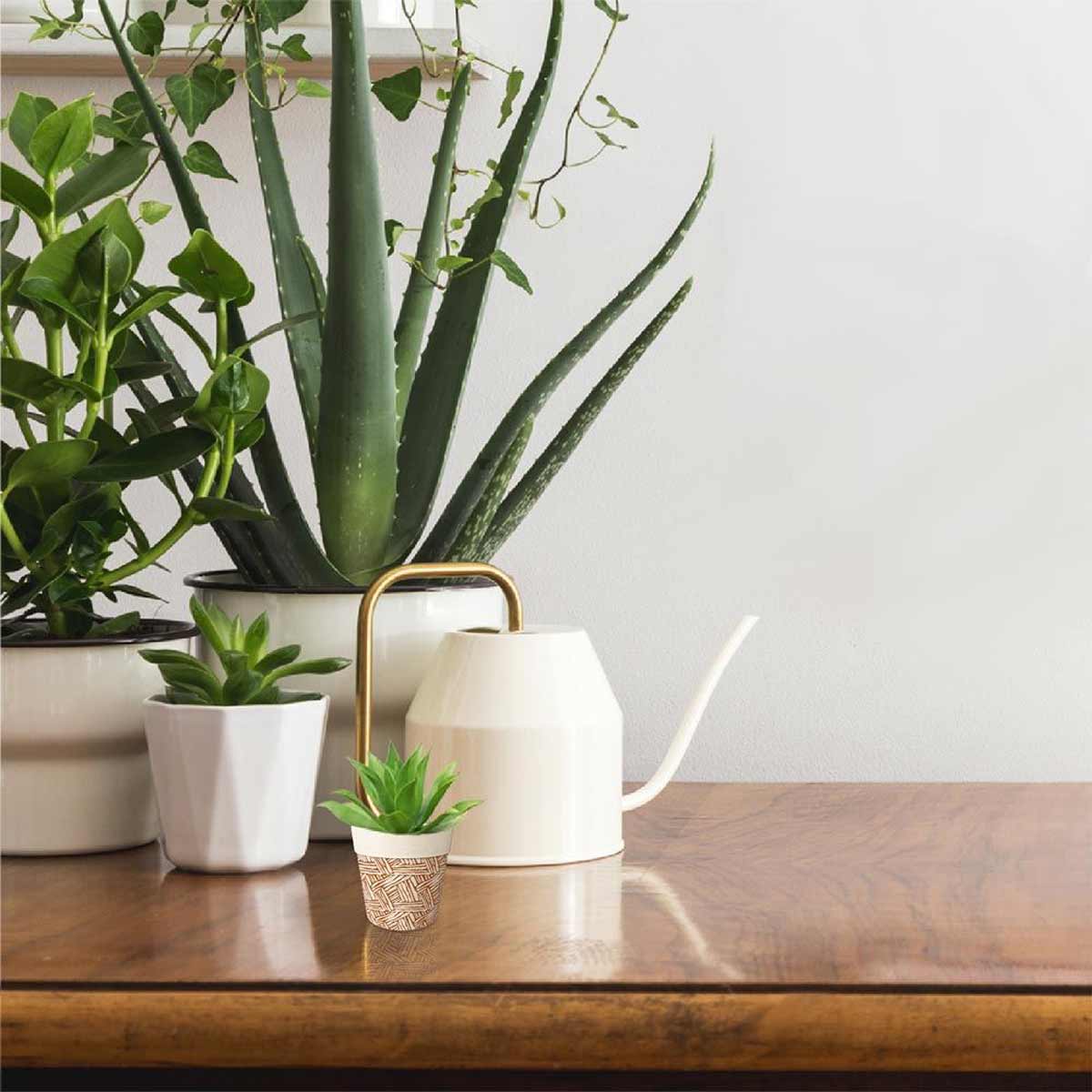 Mini cache Pot en Fibre de Bambou