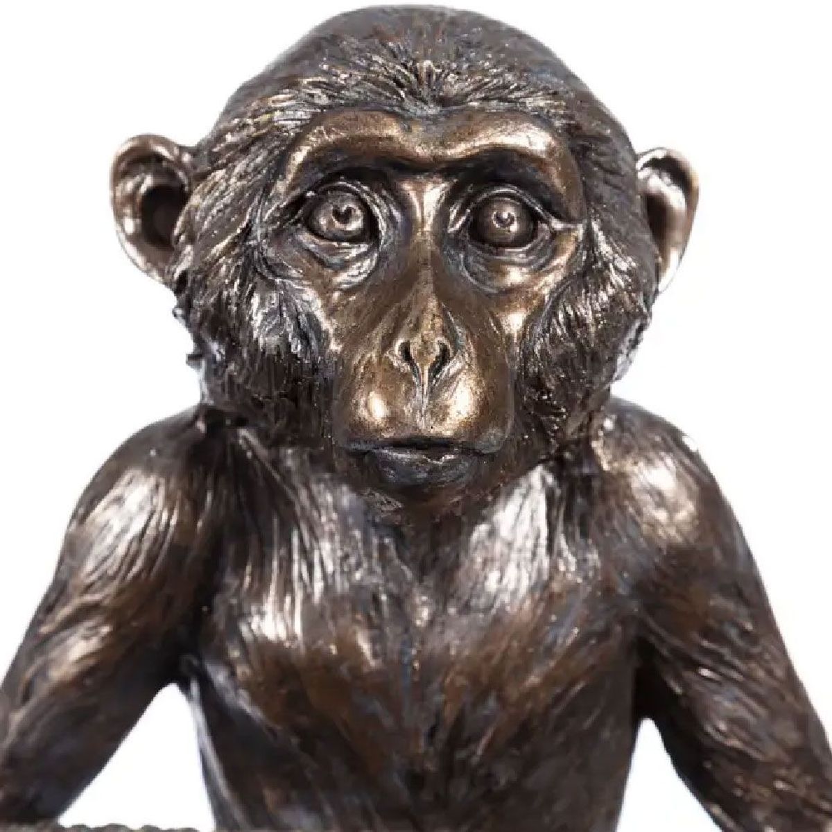 Figurine Singe vide poche en résine 25 cm